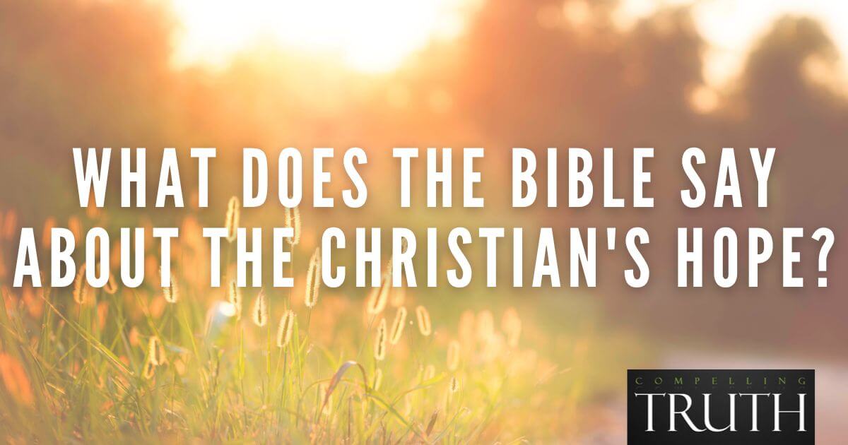 What does the Bible say about the Christian's hope?