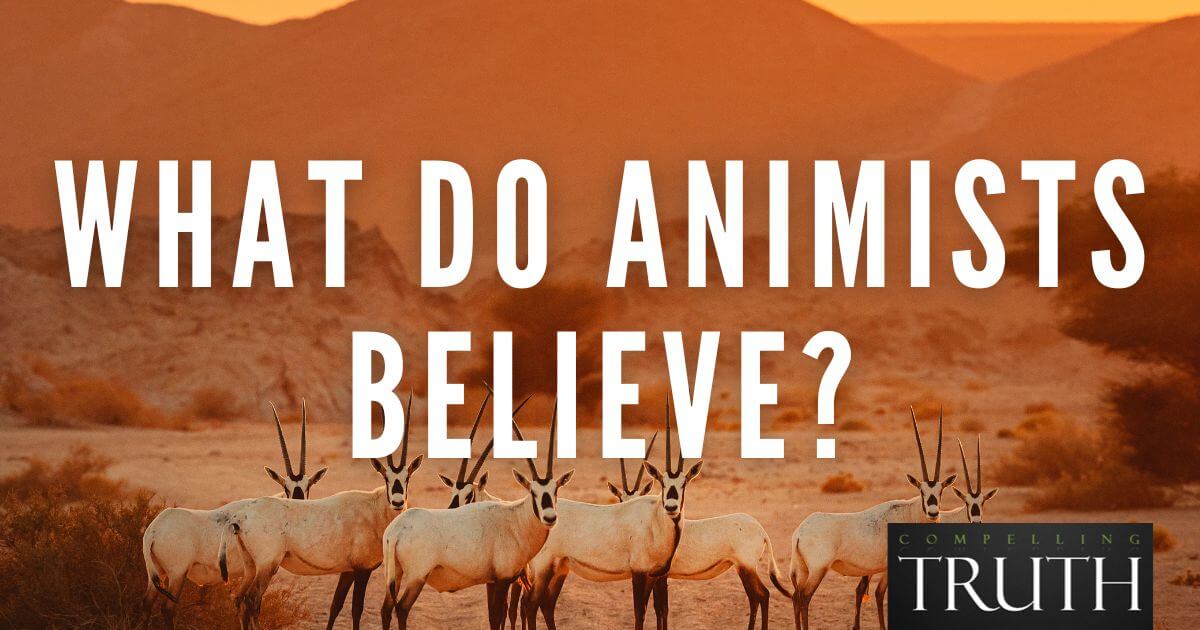 What do Animists believe? What is Animism?