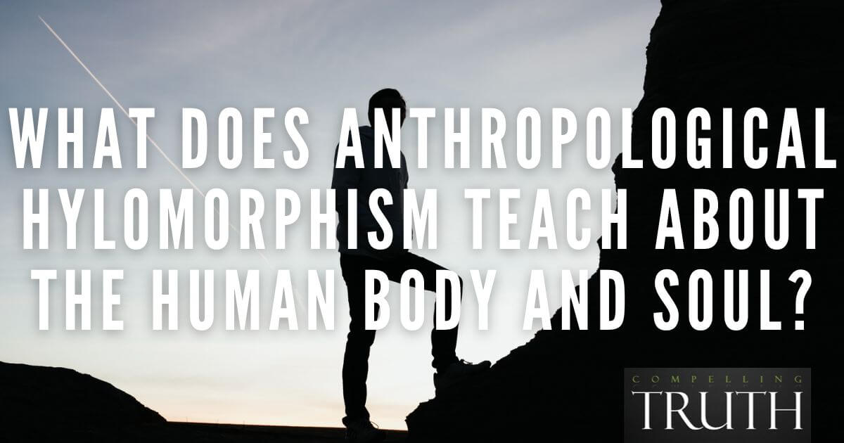 What does anthropological hylomorphism teach about the human body and soul?