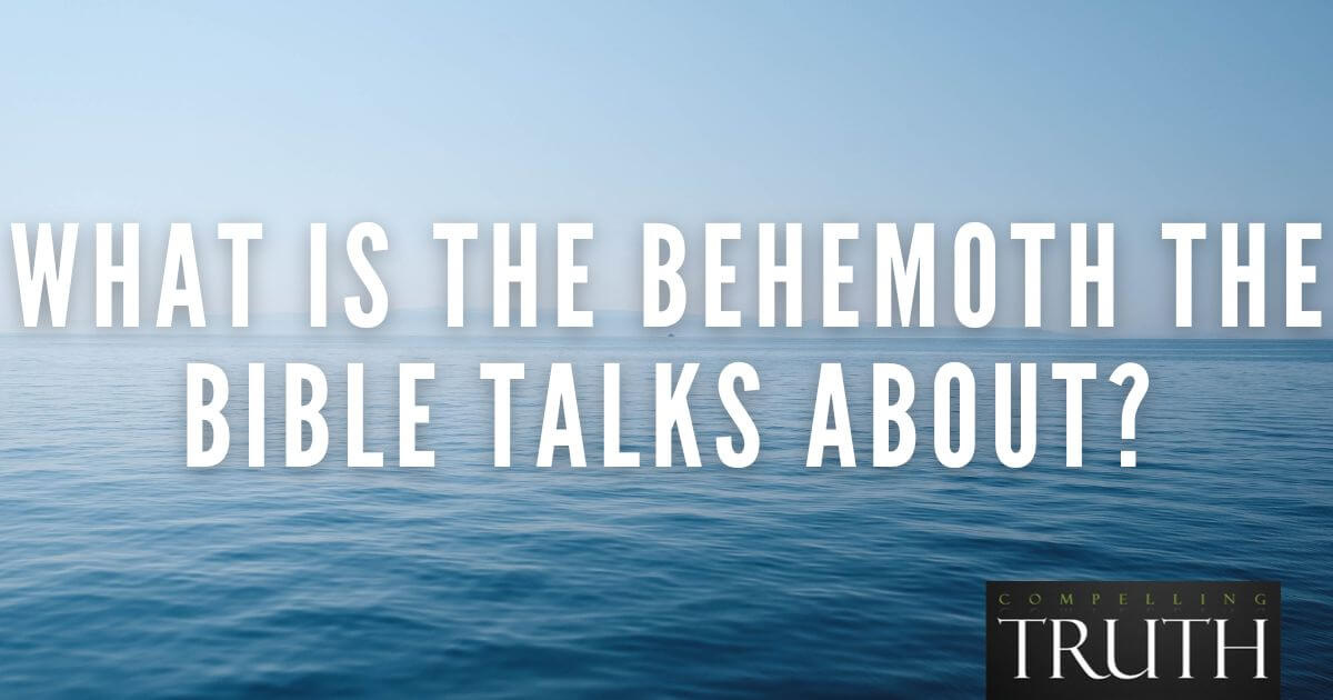 What is the behemoth the Bible talks about?