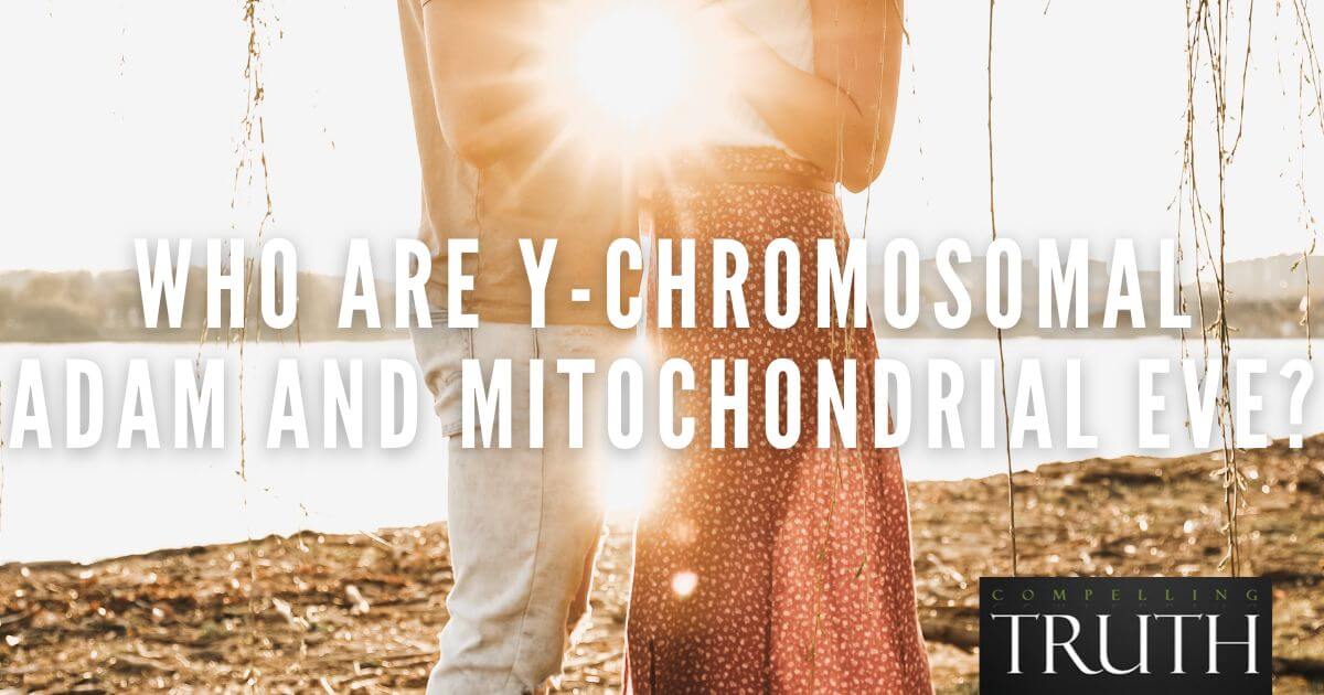 Who are Y-Chromosomal Adam and Mitochondrial Eve?