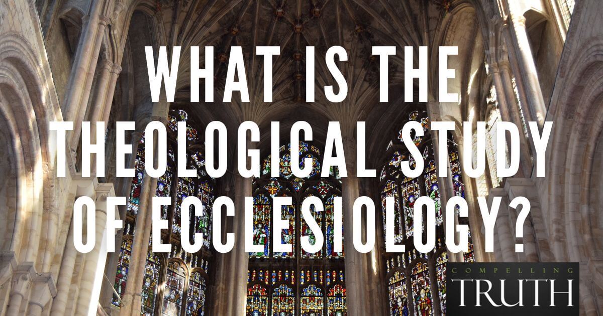 What is the theological study of ecclesiology?