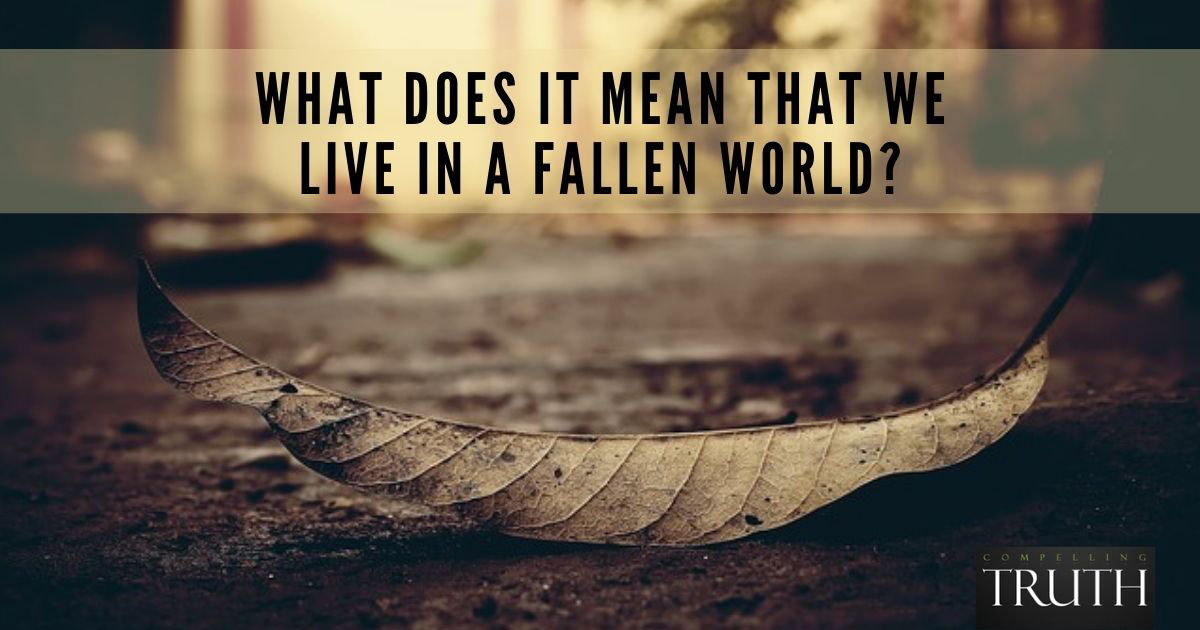 What does it mean that we live in a fallen world?