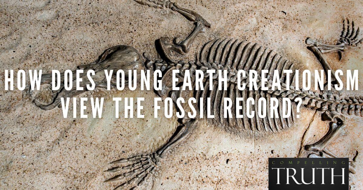How does young earth creationism view the fossil record?