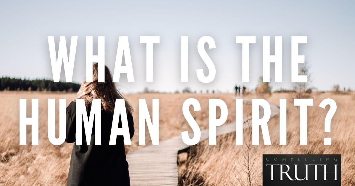 Human Spirit