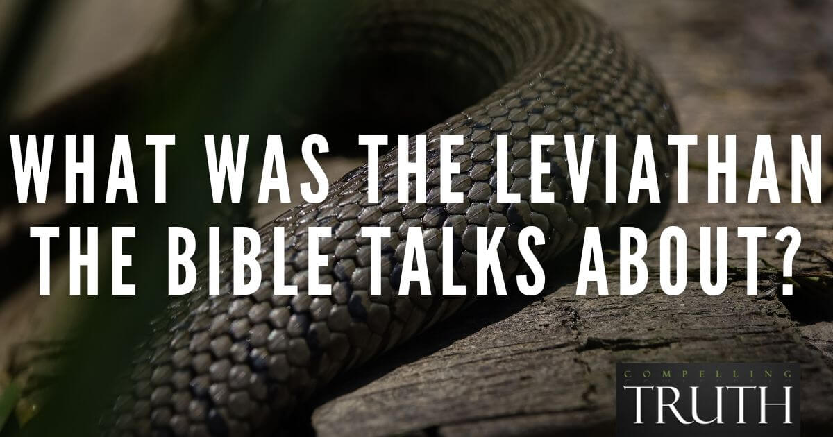 What was the leviathan the Bible talks about?