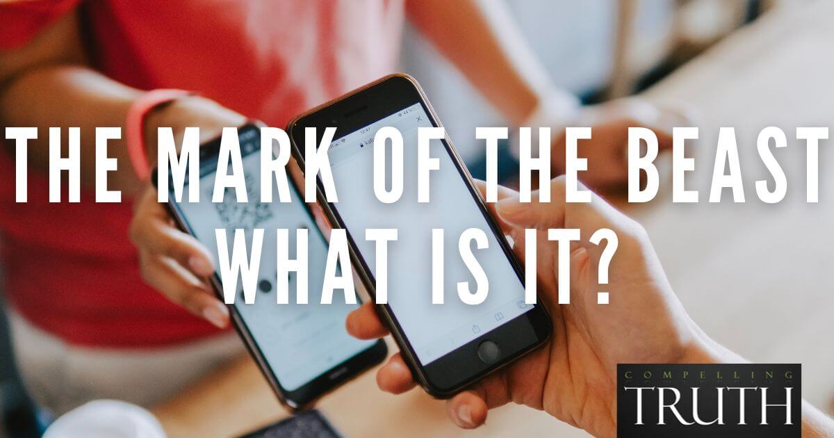 Rfid Chip 666 Mark Of The Beast