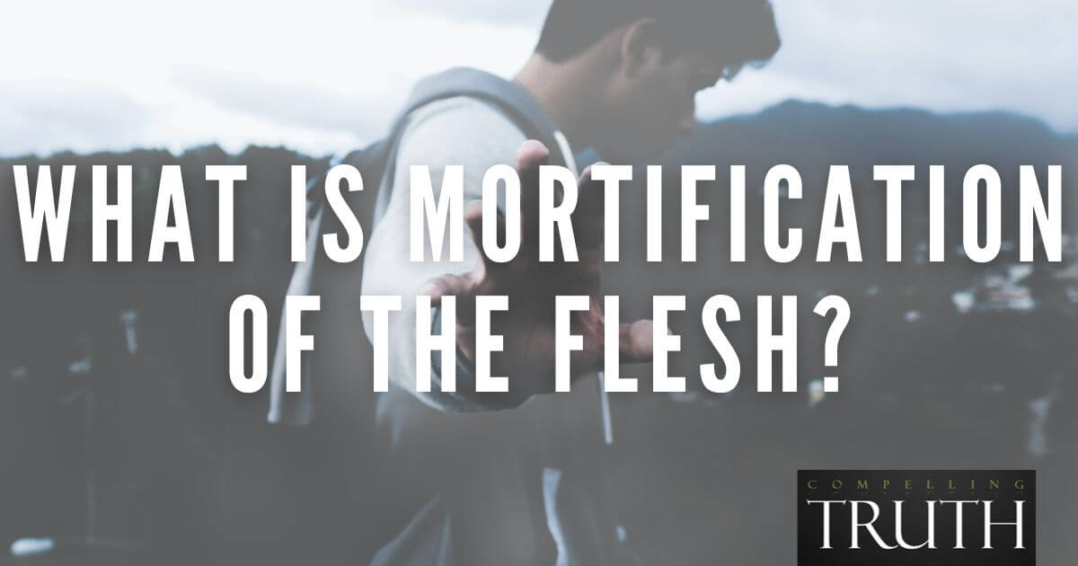 The Mortification Of Flesh