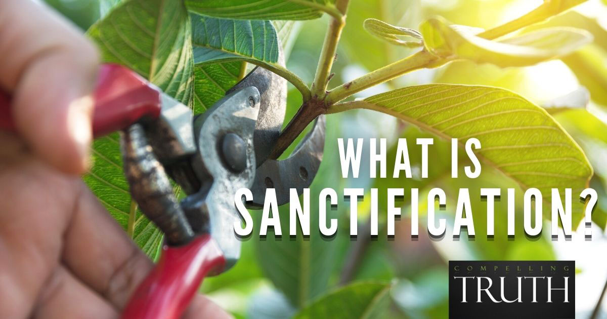 What is sanctification?