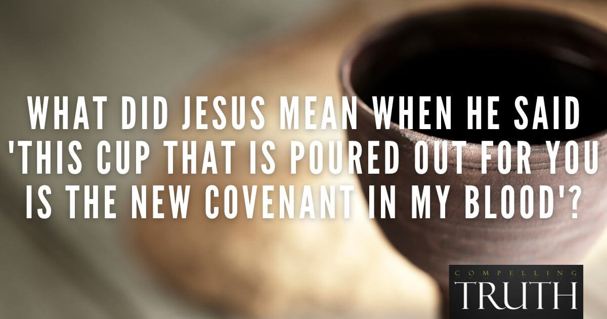 What did Jesus mean when He said 'This cup that is poured out for you ...