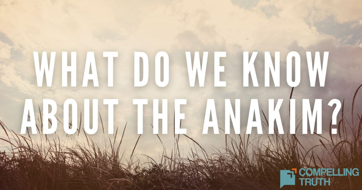 What do we know about the Anakim? - Compelling Truth