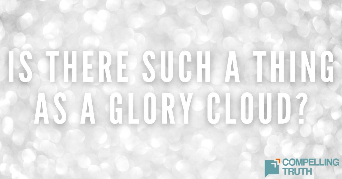 Glory Cloud BRAND NEW Adidas Rivalry Hi Cloud White Glory Red Men's