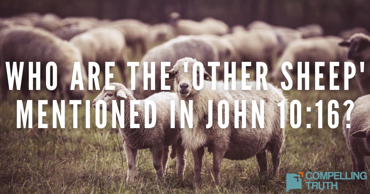 Who are the ‘other sheep’ mentioned in John 10:16? - Compelling Truth