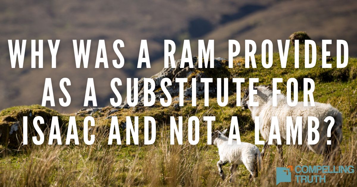 Why was a ram provided as a substitute for Isaac and not a lamb ...