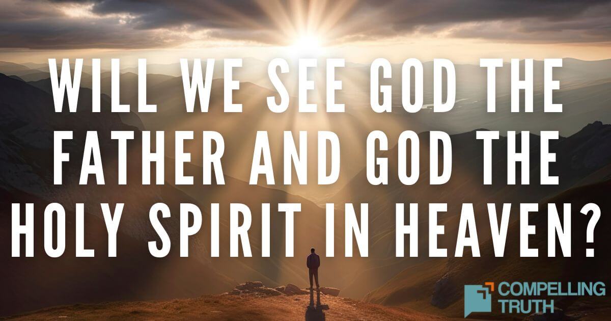 Will we see God the Father and God the Holy Spirit in heaven ...