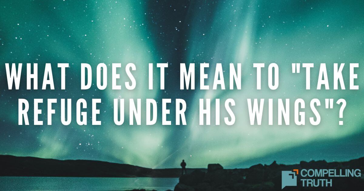 What does it mean to "take refuge under his wings" (Psalm 91:4)? - Compelling Truth