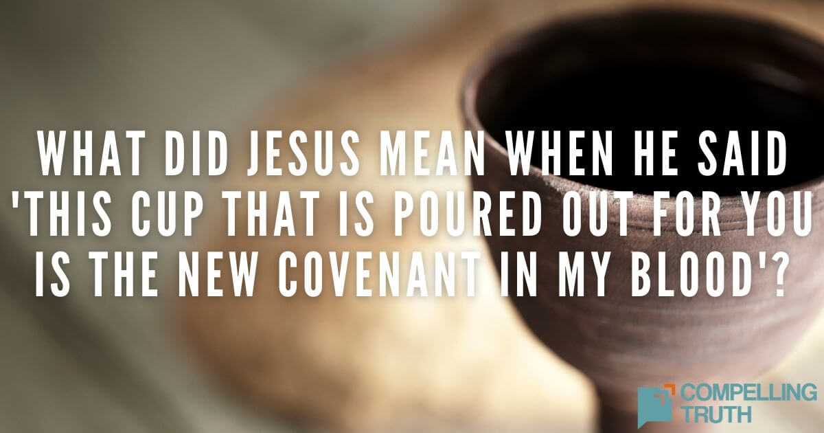 What did Jesus mean when He said 'This cup that is poured out for you ...