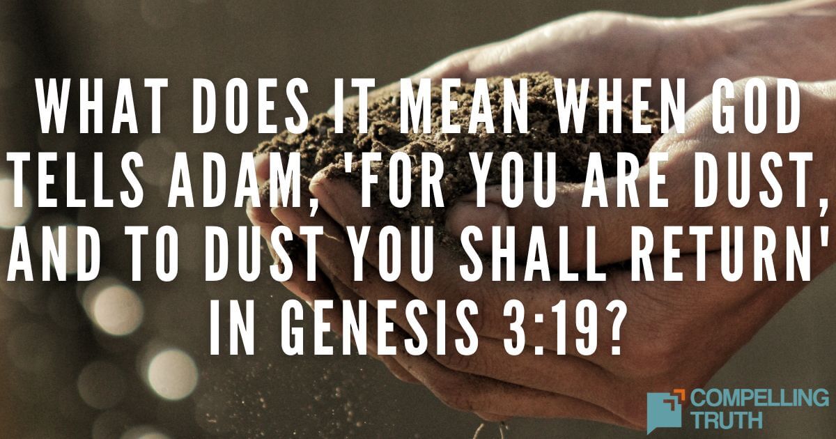 What does it mean when God tells Adam, 'For you are dust, and to dust ...