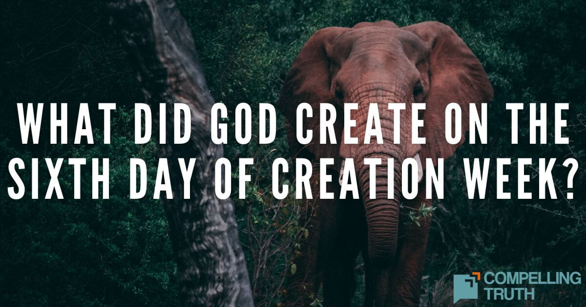 What did God create on the sixth day of Creation? - Compelling Truth