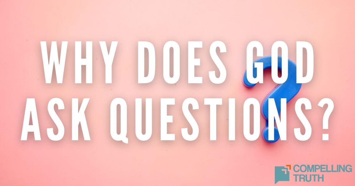 Why does God ask questions? - Compelling Truth